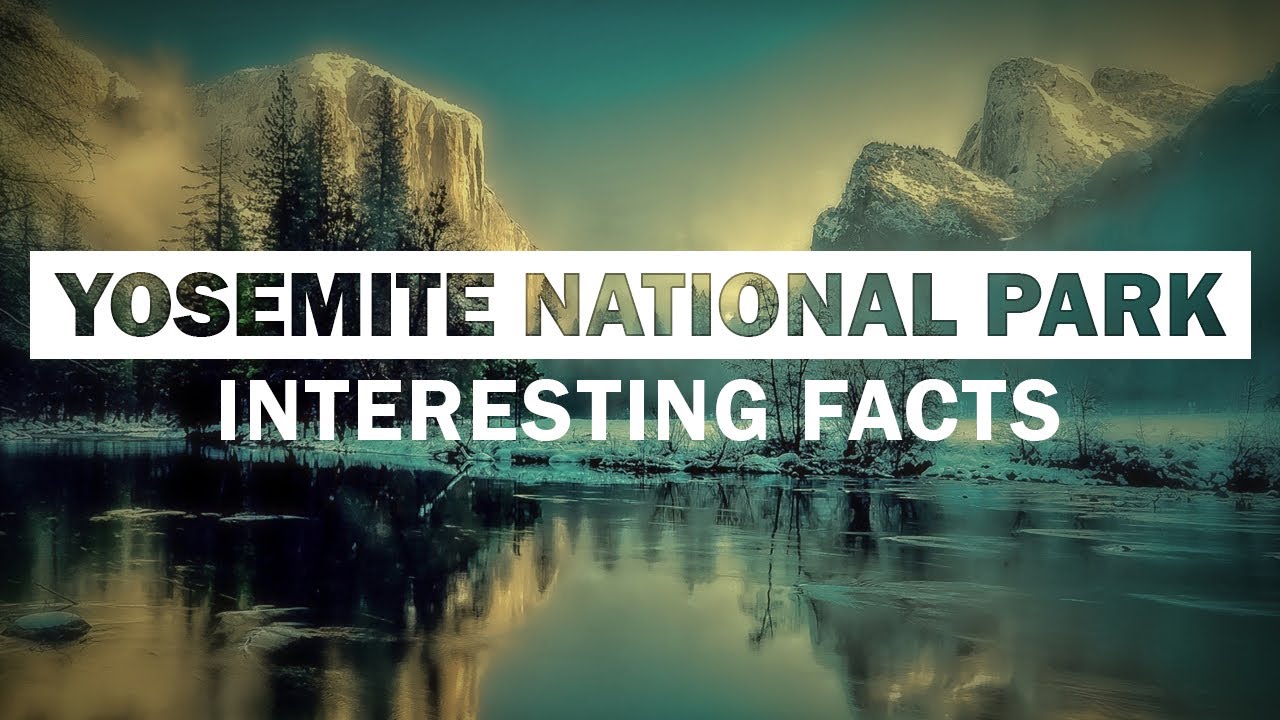 11 Most Interesting Facts About Yosemite National Park - FUGADA